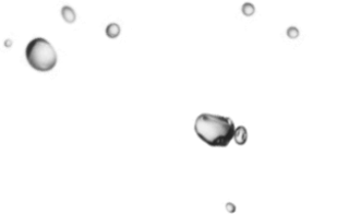 About us - Protec Auto Studio